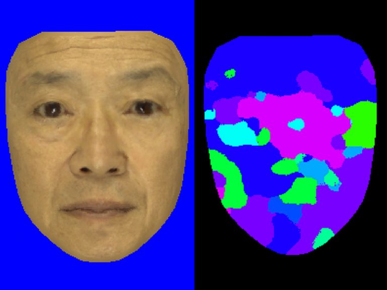 森島研究室 Face Texture Synthesis From Multiple Images Via Sparse And Dense Correspondence 森島研究室